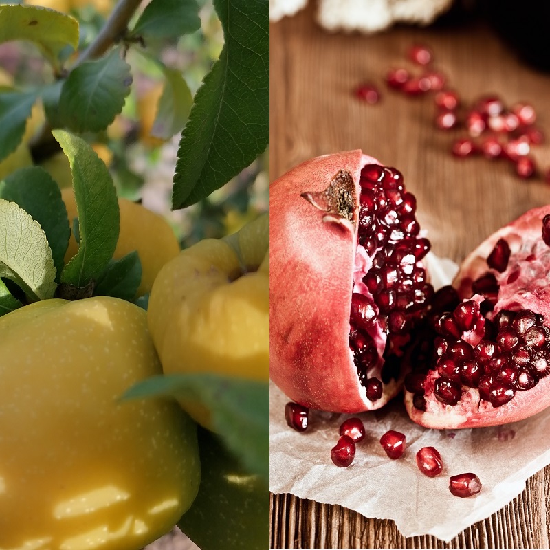 Pomegranate-Quince Aged White Balsamic • Sunshine Coast Olive Oil